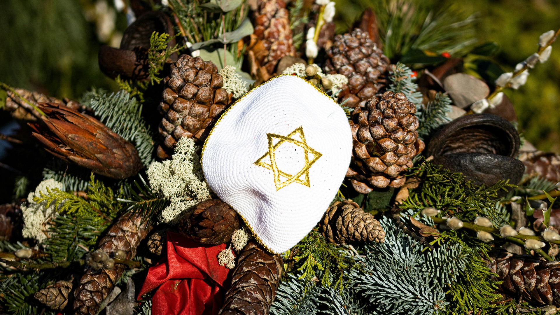 York marks Holocaust Memorial Day with programme of events - Chamber ...