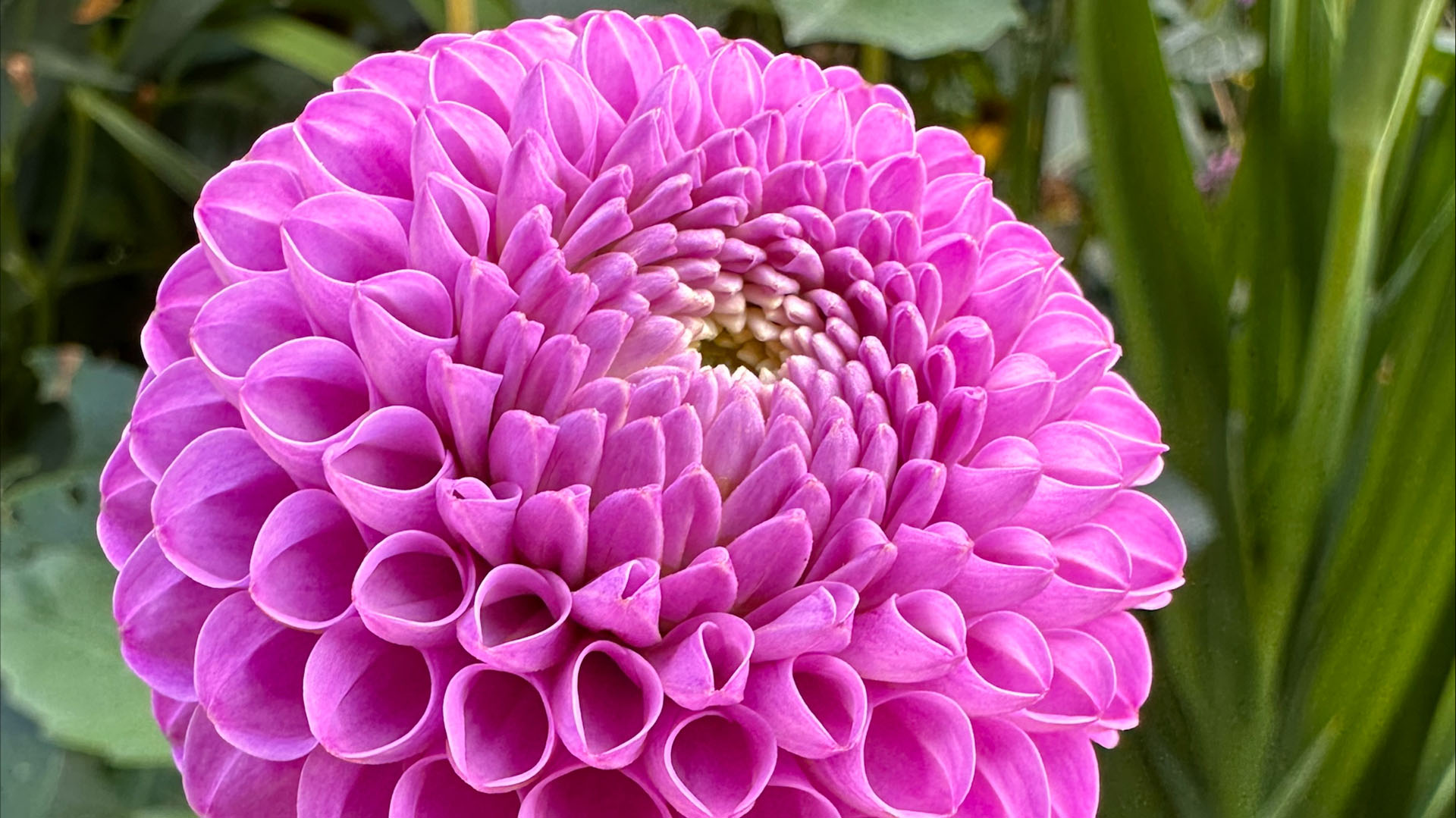 Sales and Ghosting: Why You Should Never Try to Guess What’s Going On ...