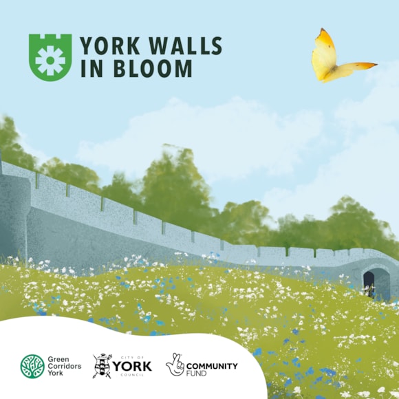 York walls in bloom - Chamber Members
