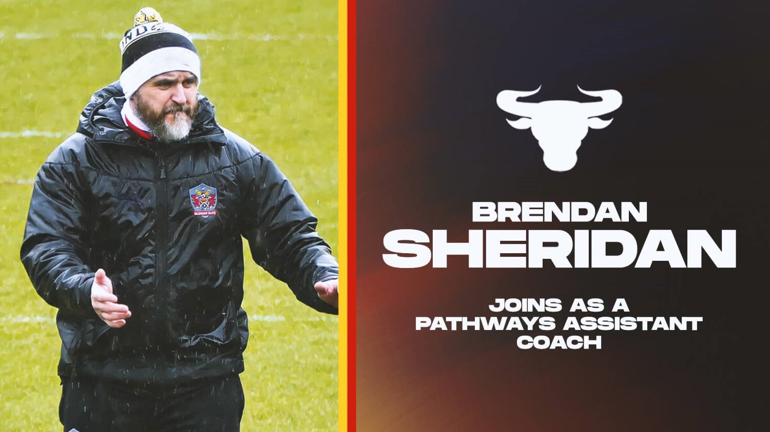 Brendan Sheridan joins the Bulls - Chamber Members