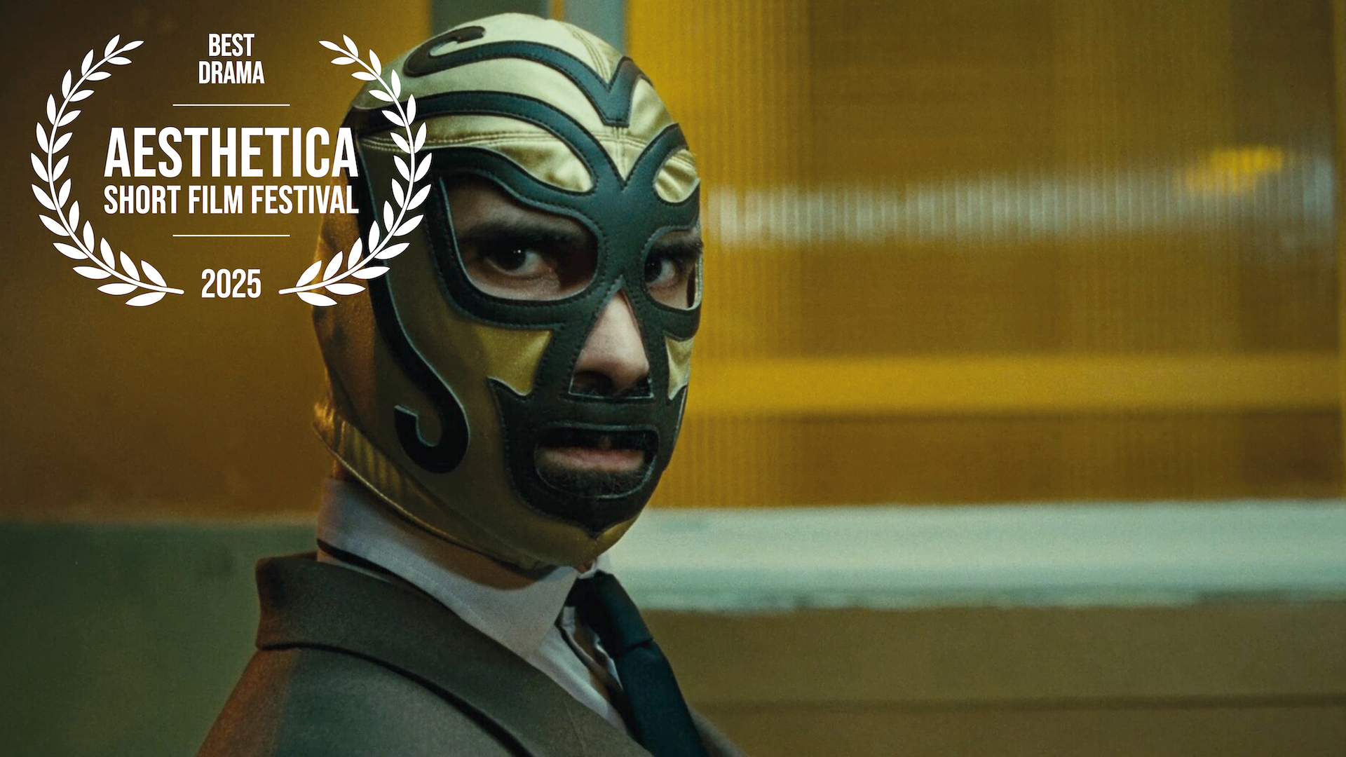 Winners Announced at Aesthetica Film Festival 2025 - Chamber Members